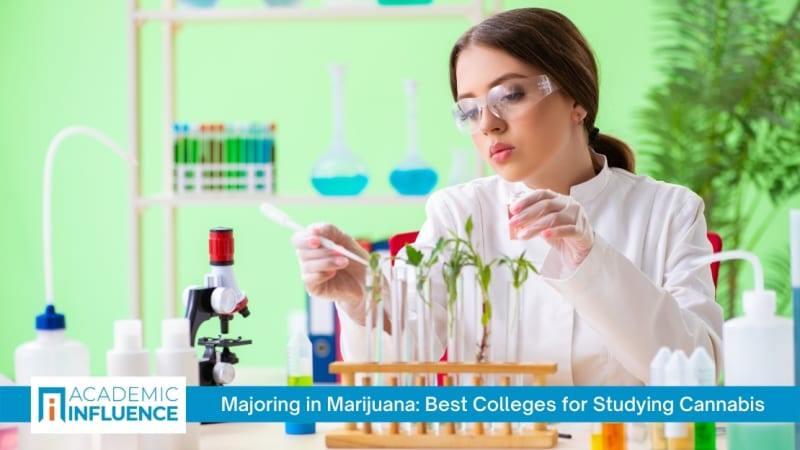 Majoring in Marijuana: Best Colleges for Studying Cannabis | Academic ...
